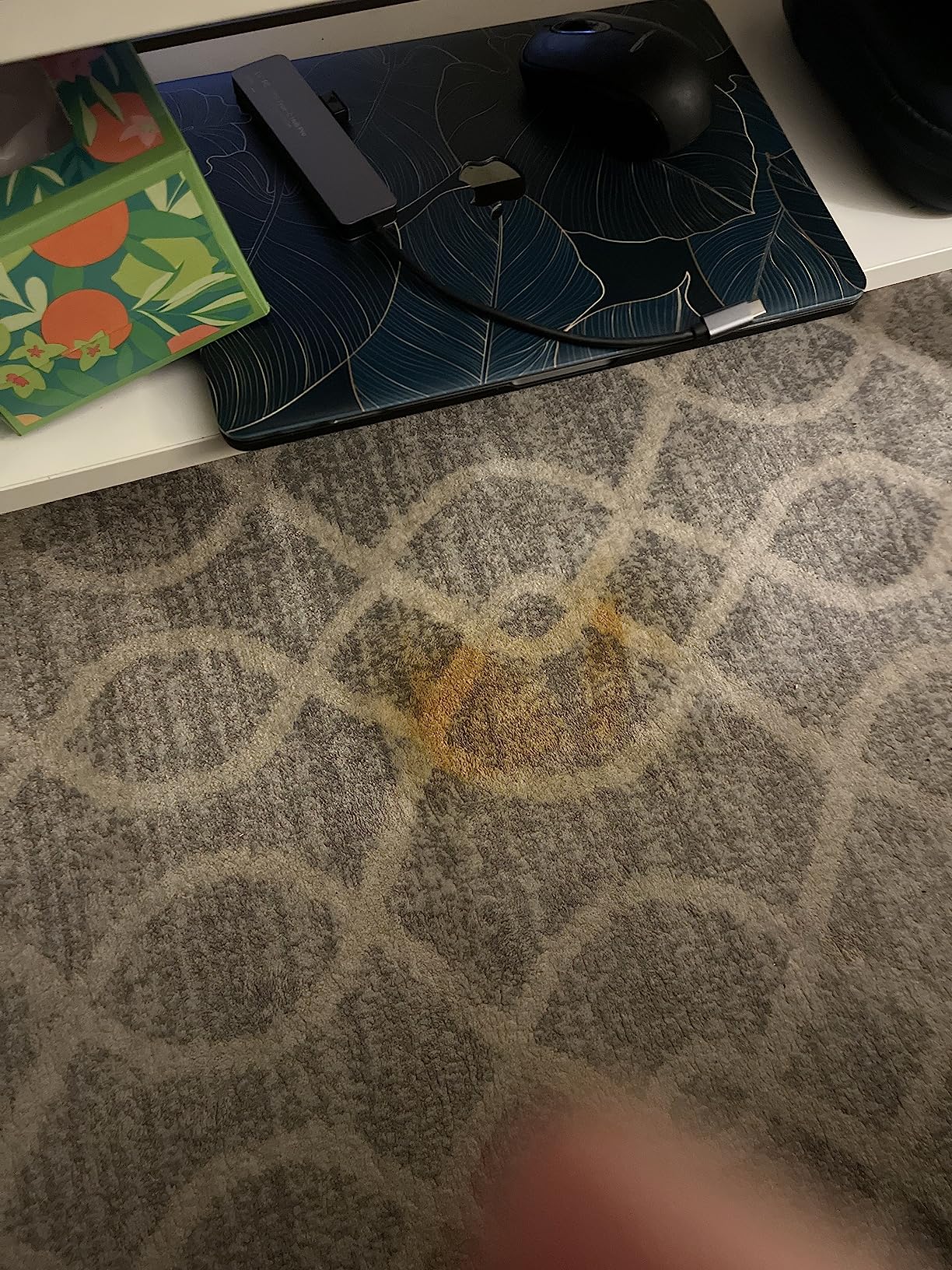 $2/mo - Finance Resolve Professional Strength Spot and Stain Carpet ...