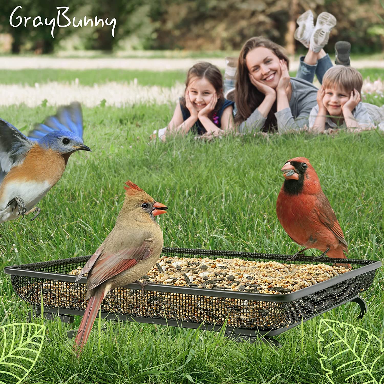 Snapklik.com : Bird & Squirrel Feeder Tray 11x11 Inches, Cardinal, Blue ...
