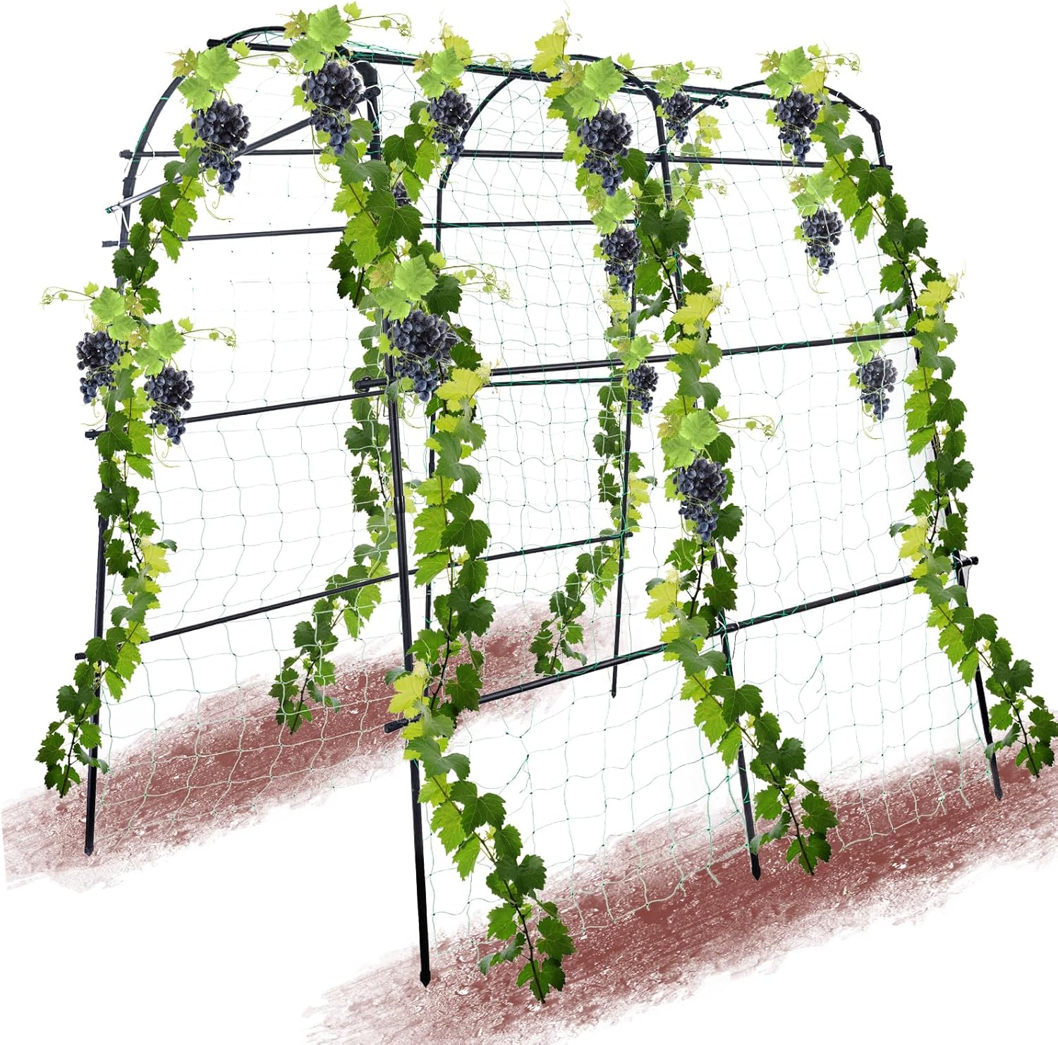 Amazon.com : Garden Arch Trellis, Extra Large Garden Arch, Grape ...