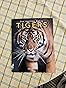 Amazon.com: Tigers: Amazing Pictures & Fun Facts on Animals in Nature ...