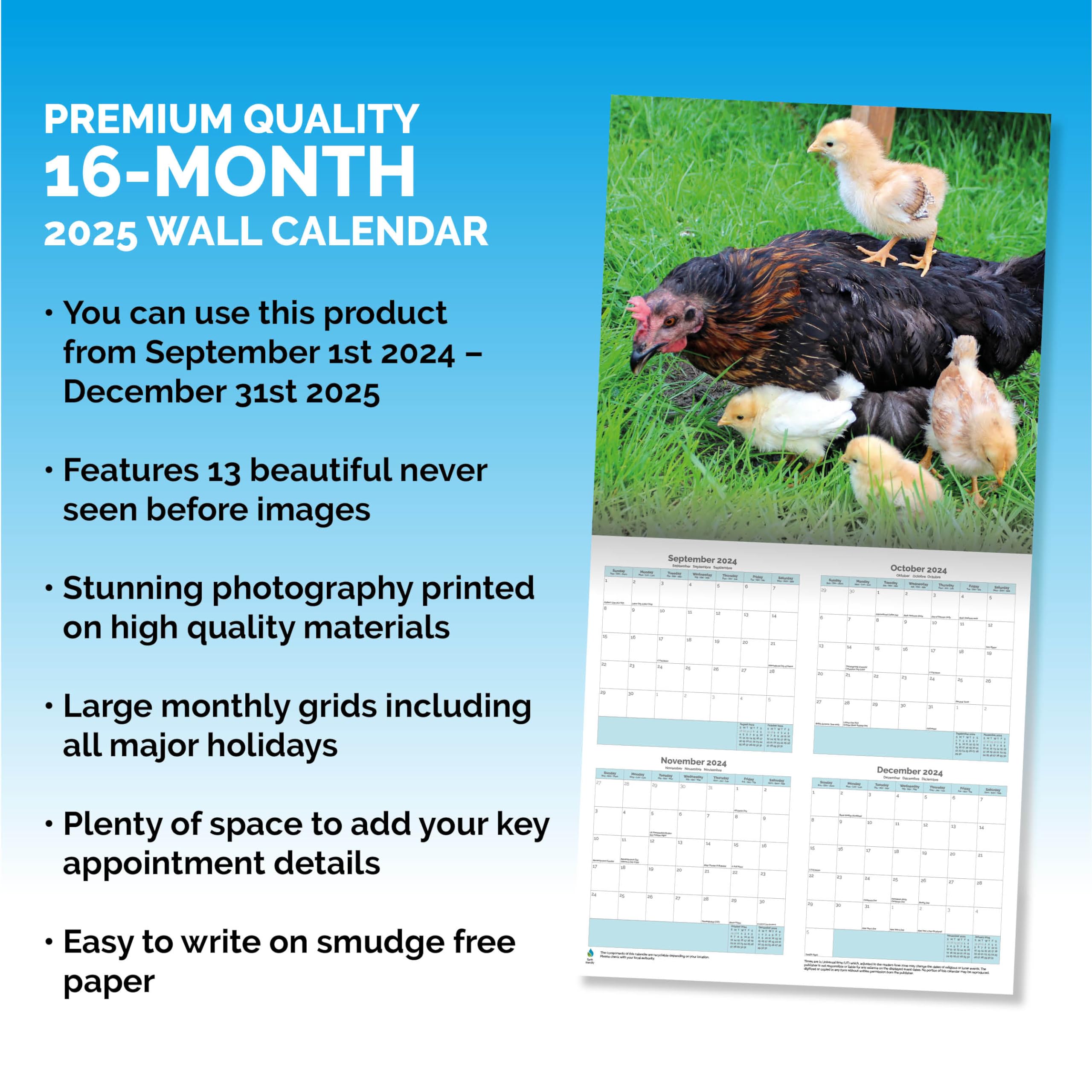 Dayplanner Publishing Chickens Calendar 2025, Large Square Wall ...