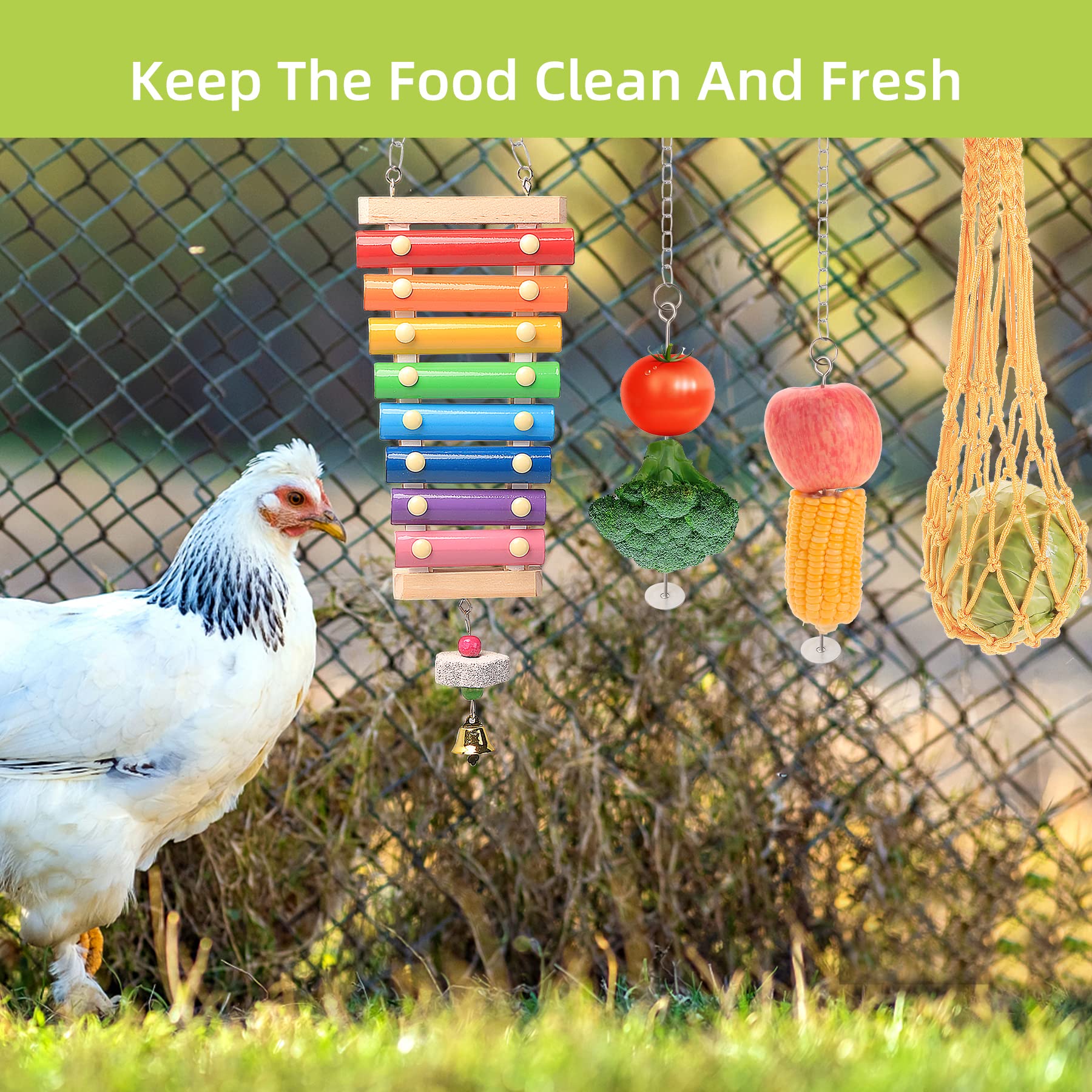 Snapklik.com : Chicken Toys For Coop 7PCS, Chicken Xylophone, Swing Set ...