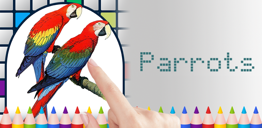 Parrot Drawings In Color