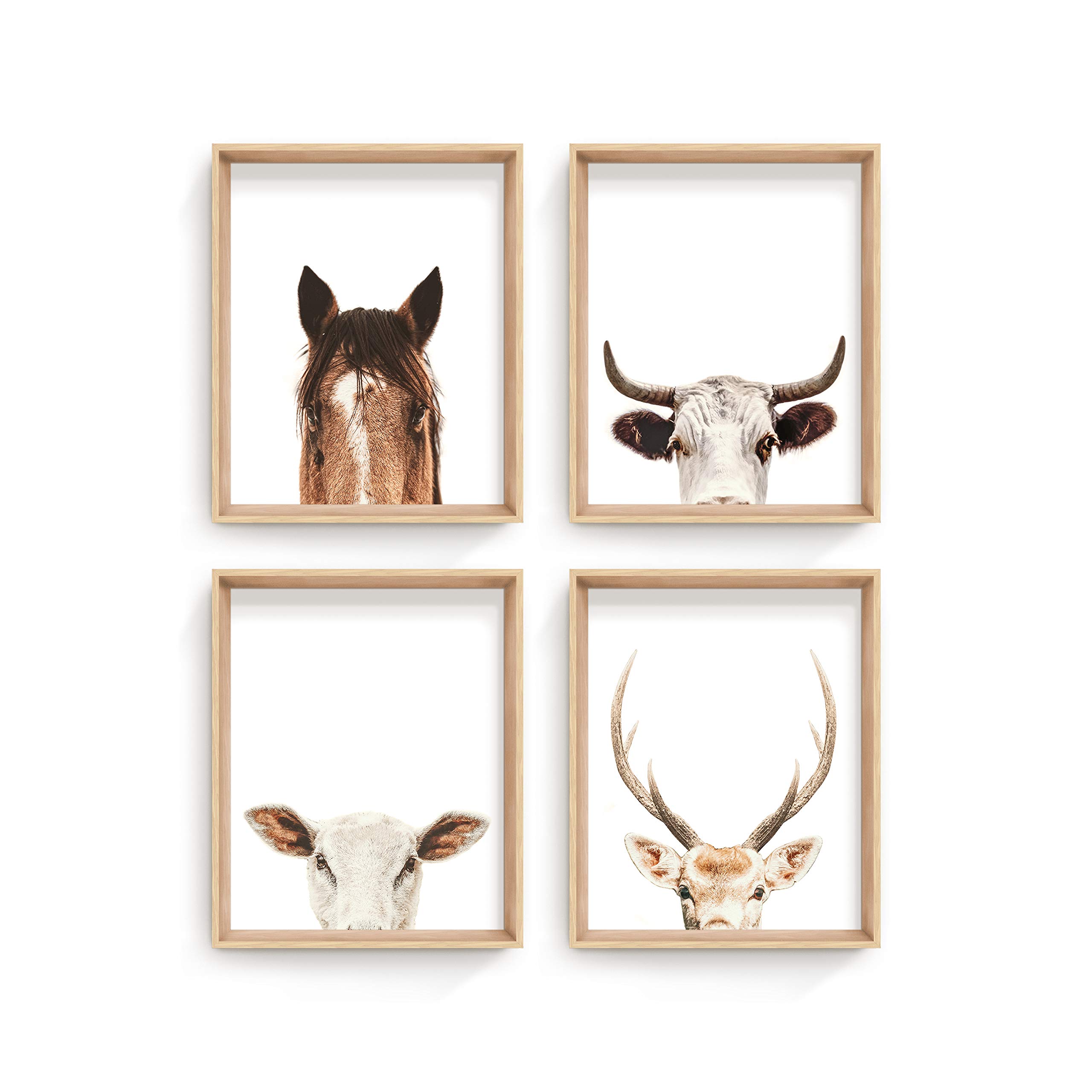 Buy Haus and Hues Set of 4 Rustic Farm Animal Pictures - Horse Deer Cow ...