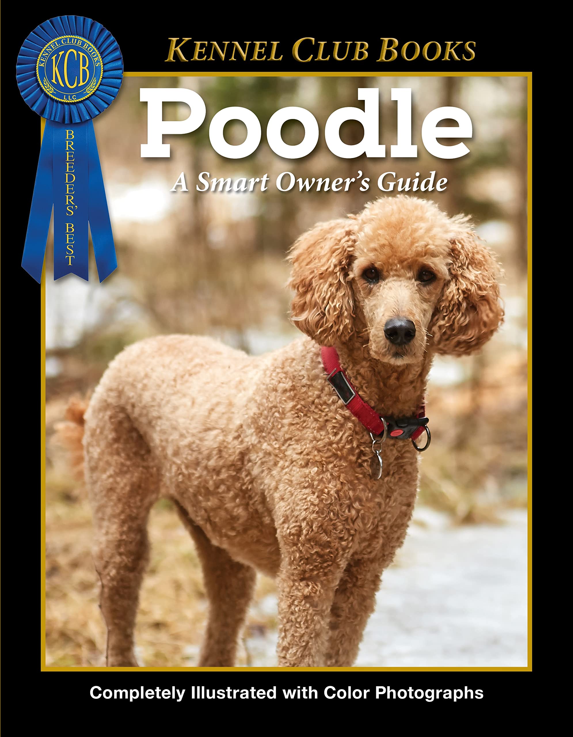 Poodle (CompanionHouse Books) Breed Characteristics, History, Expert ...