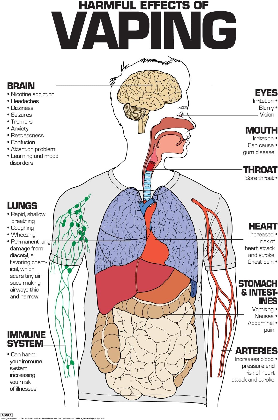 Amazon.com: Harmful Effects of Vaping Laminated Poster (24" x 36 ...