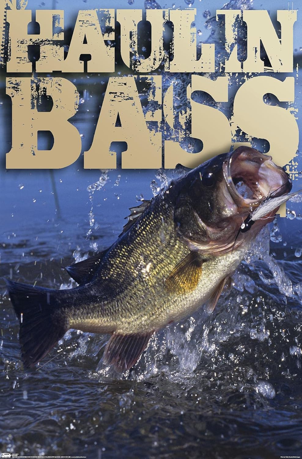 Amazon.com: Trends International Big Bass Wall Poster, 22.375" x 34 ...