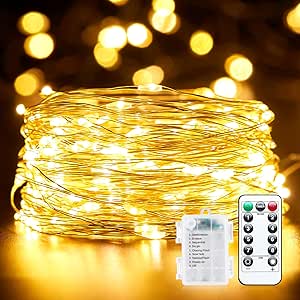 Amazon.com: 33Ft 100 LED Outdoor String Lights, Warm White Fairy Lights ...
