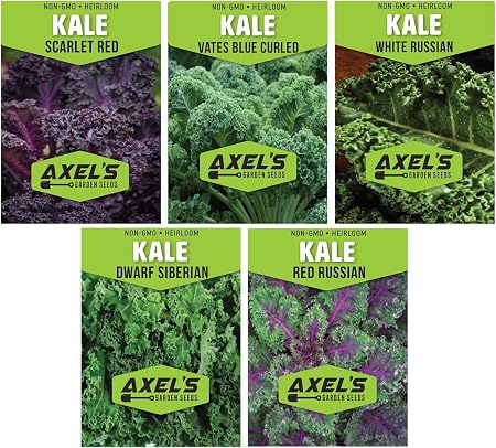 Amazon.com : Kale Seeds for Planting - Plant & Grow Heirloom Kale ...
