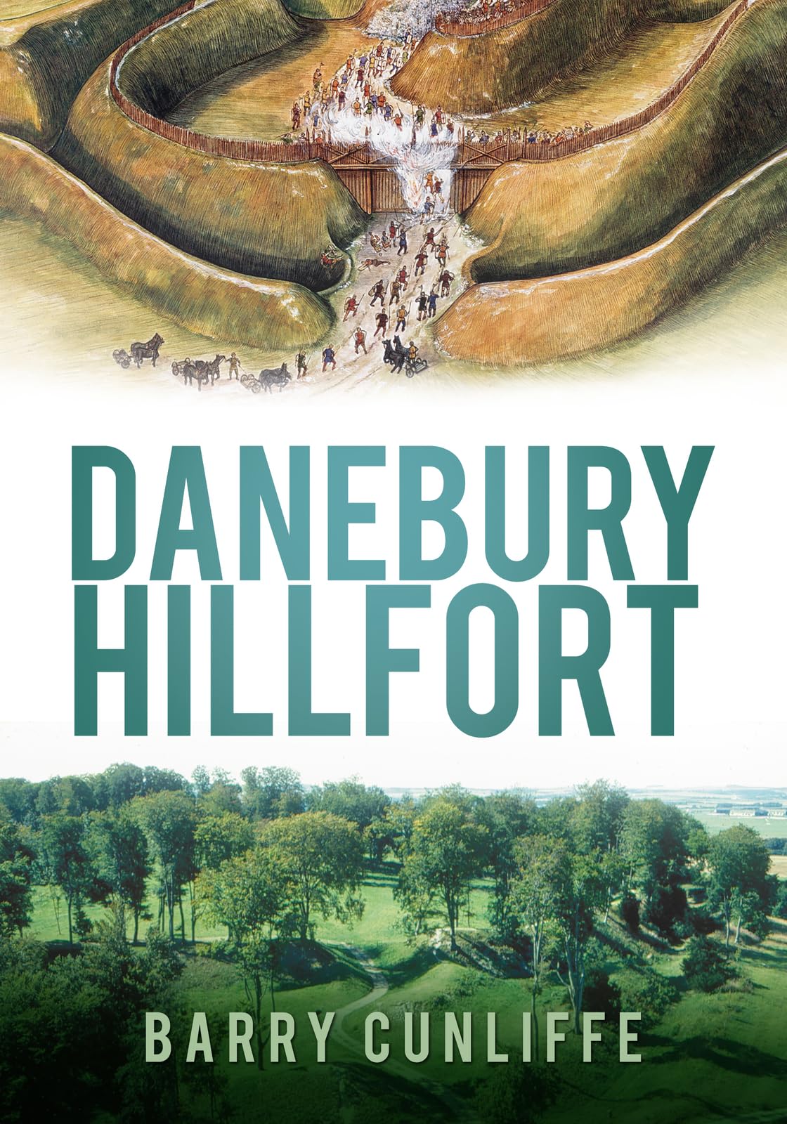 Danebury Hillfort: Cunliffe, Barry: 9780752429106: Amazon.com: Books