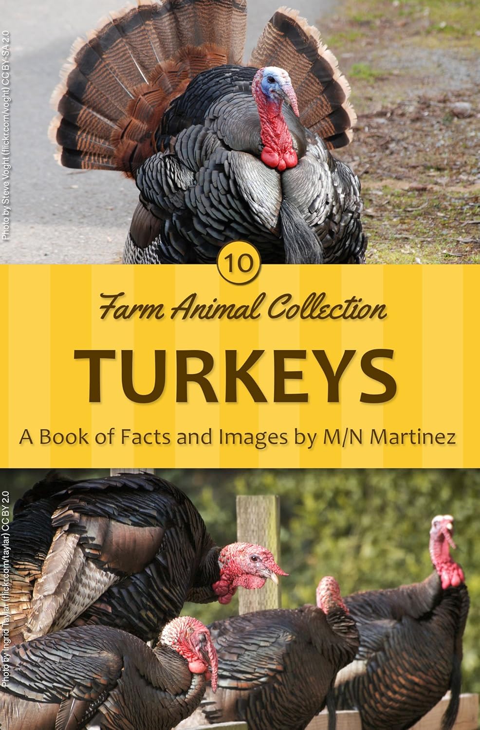 Amazon.com: Turkeys (Farm Animal Collection Book 10) eBook : Martinez ...
