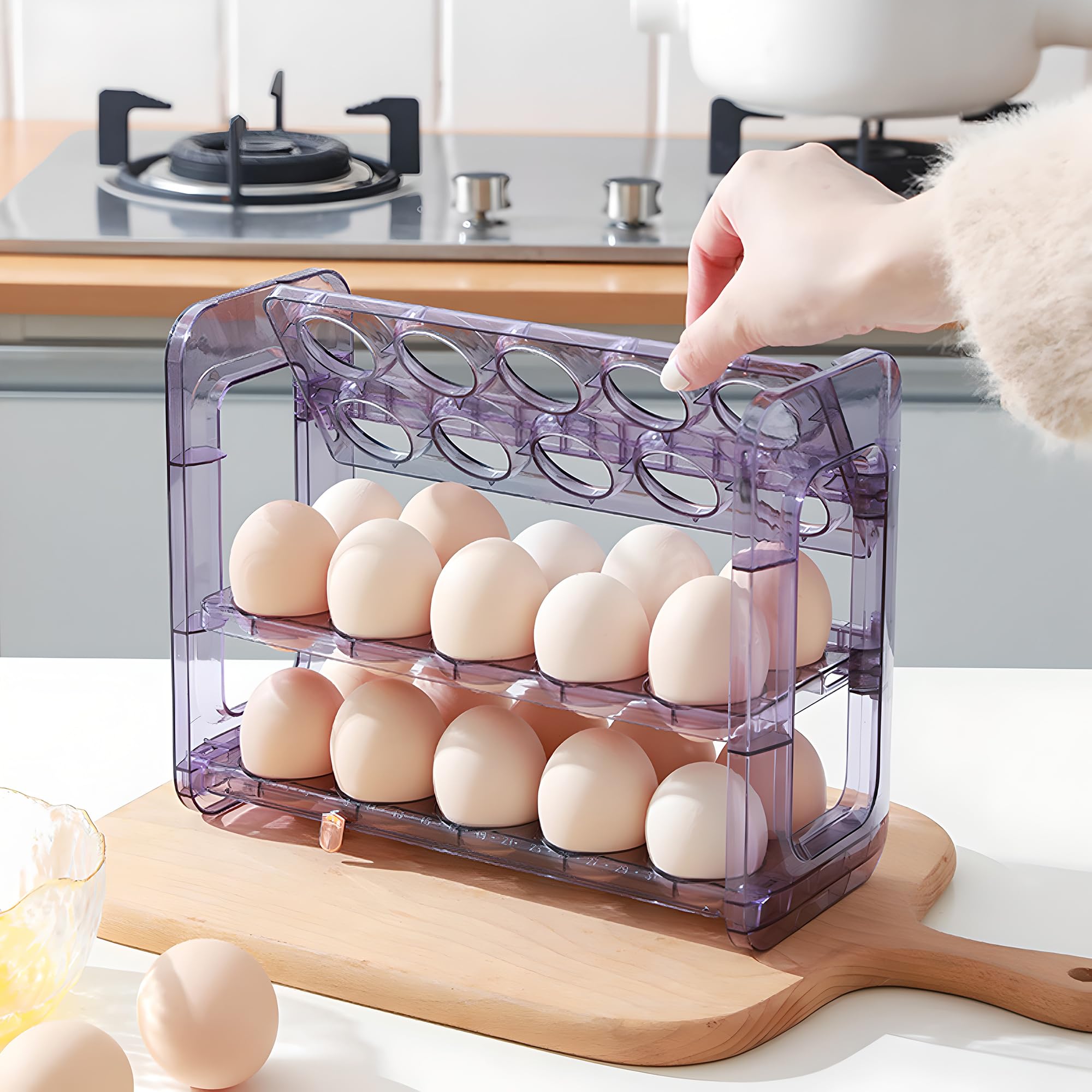 Amazon.com: LamChyar Egg Holder for Refrigerator, Auto Flip Egg ...