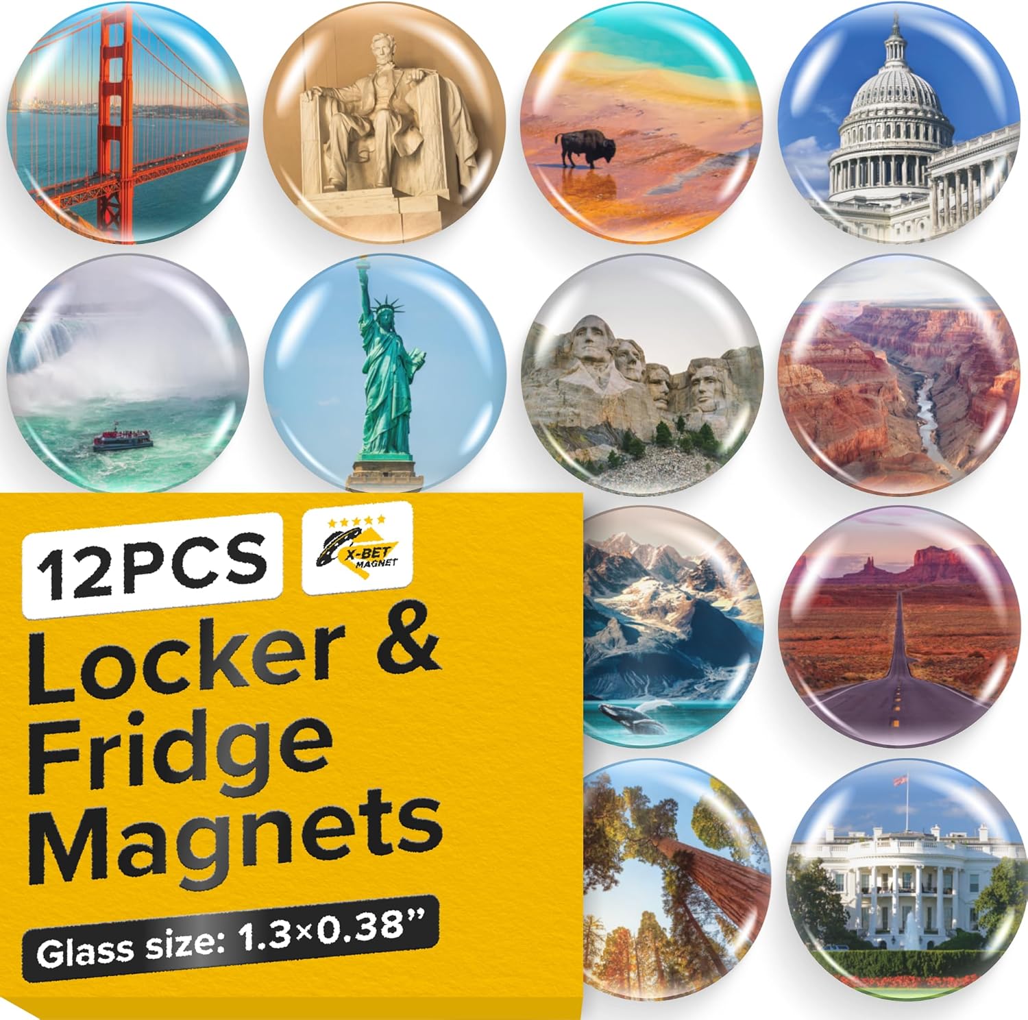Amazon.com: Super Cute Fridge & Locker Magnets - 12 Glass Magnets with ...