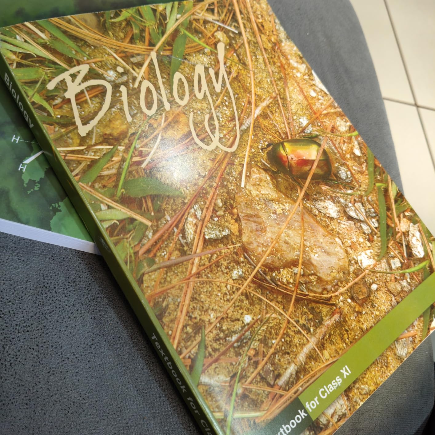 Biology Textbook for class-XI Latest Edition 2025-26 Edition : NCERT ...