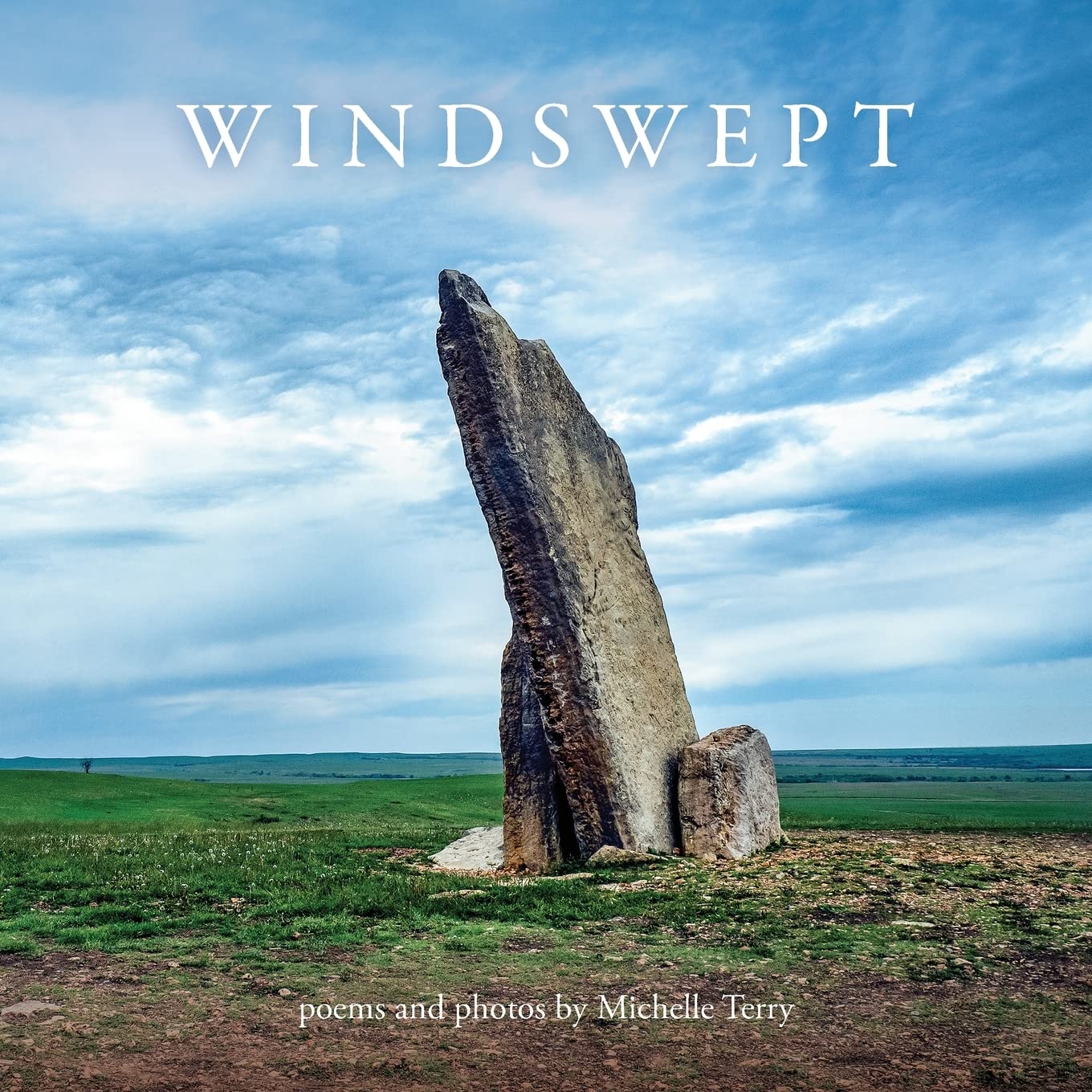 Amazon.com: Windswept: Poems and Photos: 9781970063950: Terry, Michelle ...