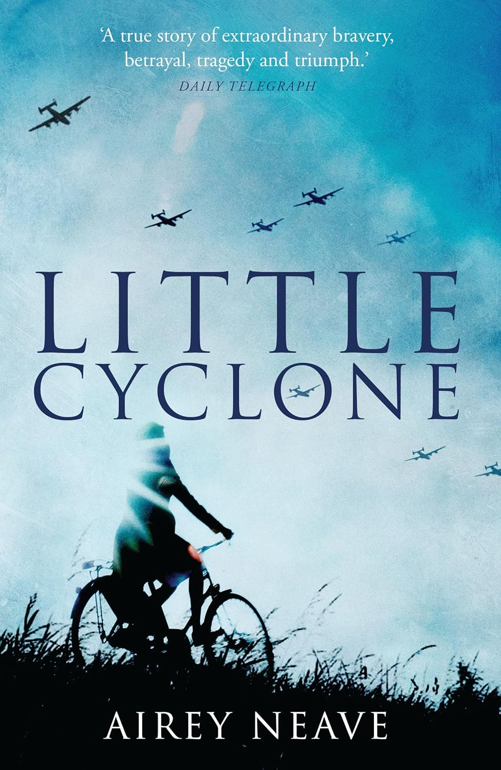 Little Cyclone: Neave, Airey: 9781849549608: Amazon.com: Books