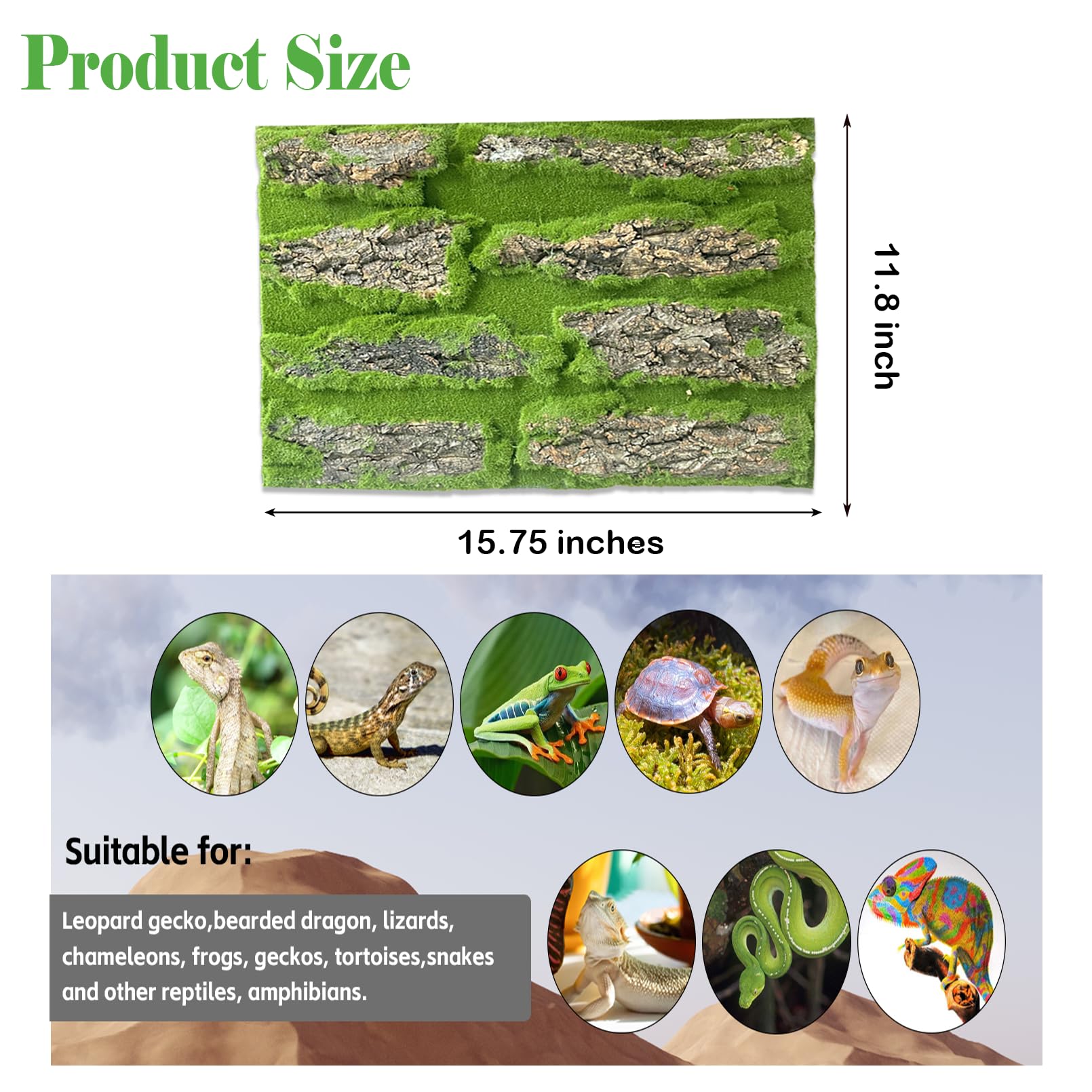 Snapklik.com : Kathson Reptile Terrarium Cork Background,Bearded Dragon ...