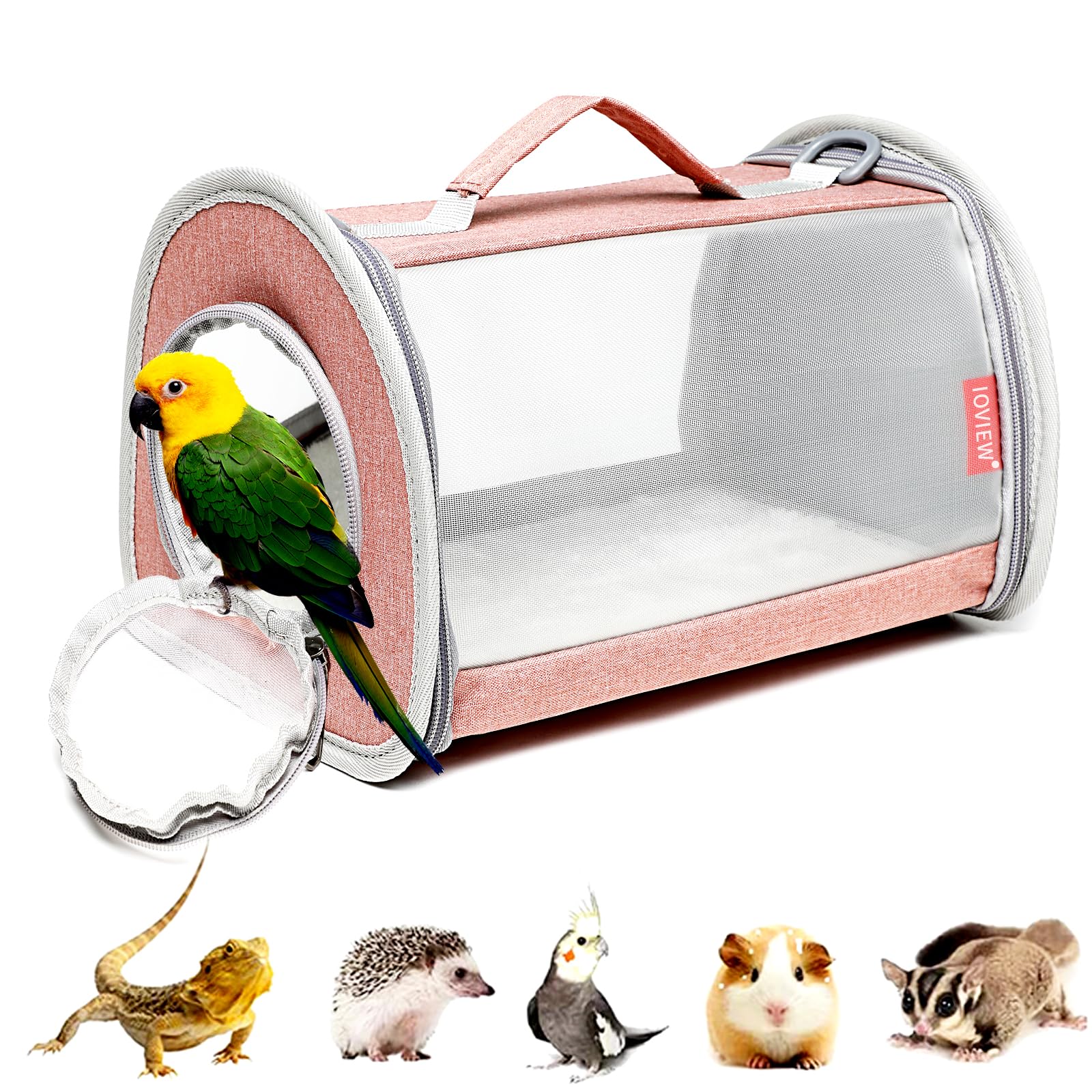 Amazon.com : Ioview Guinea Pig Carrier Travel Small Animal Carrier Bag ...