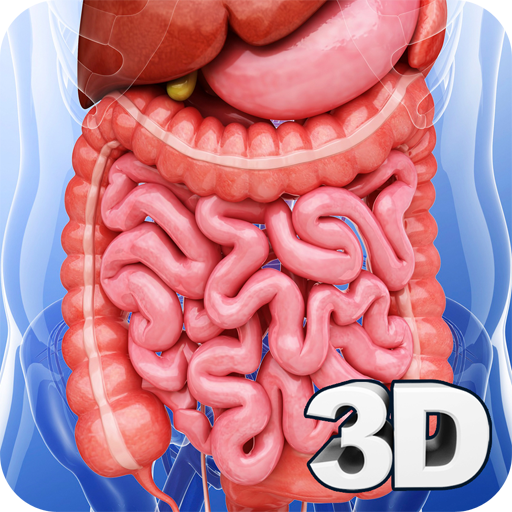 Digestive System Anatomy Pro. - Application sur Amazon Appstore