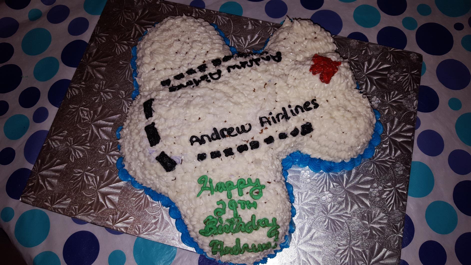 Wilton 2105-0250 Airplane Cake Pan : Amazon.ca: Home