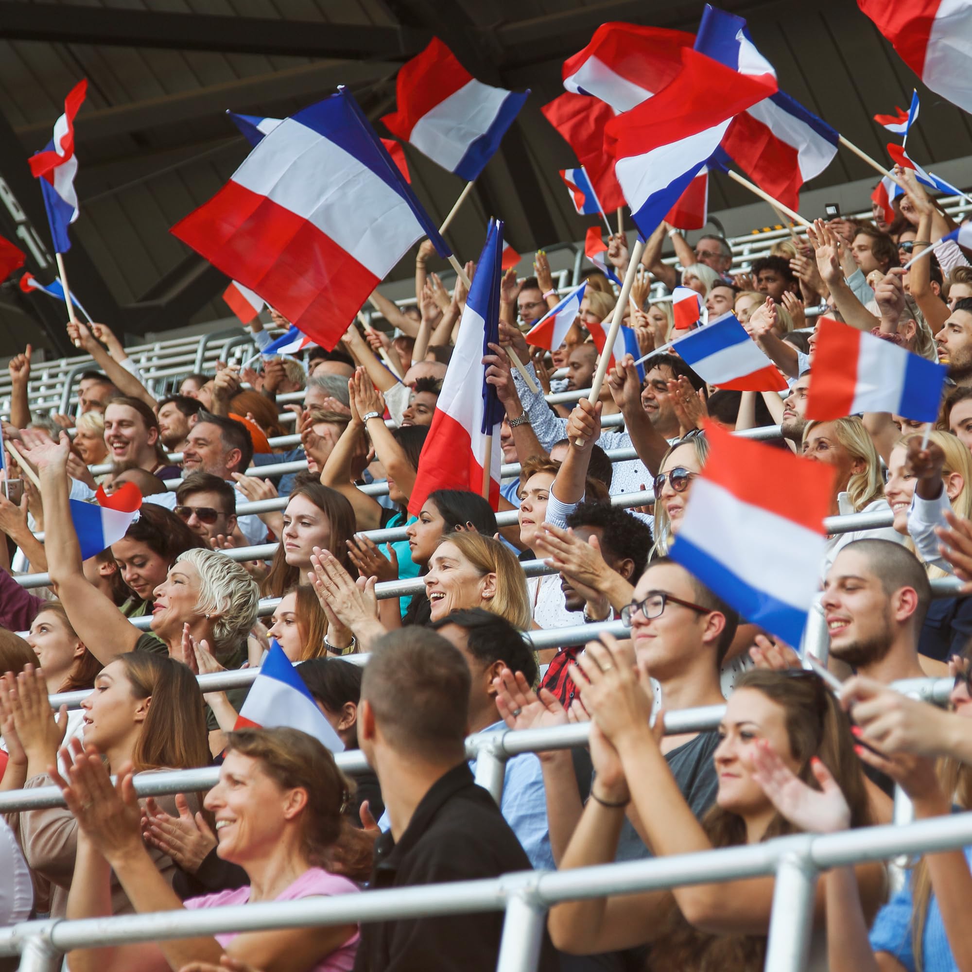 ZSYIULIA 5x3ft Large French Flag France Flag, Big French Flag with ...