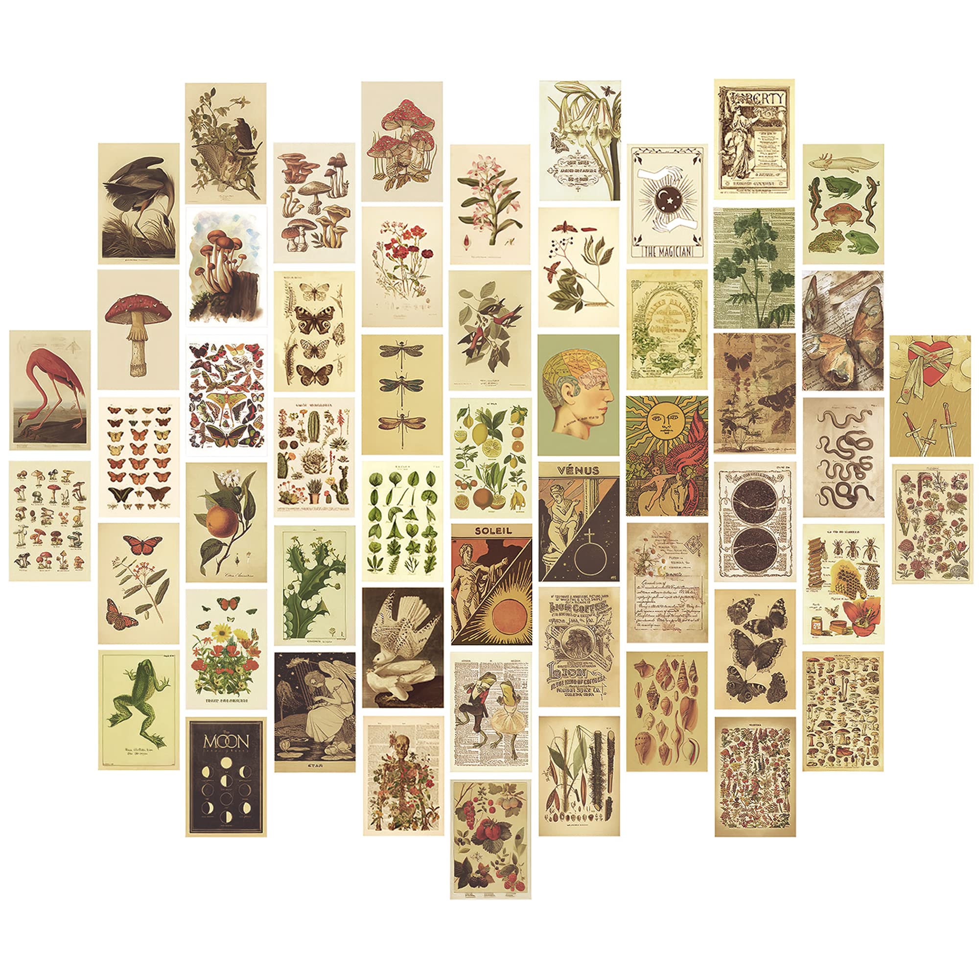 Vintage Aesthetic Wall Collage Kit 70 Mini Vintage Style Art ...