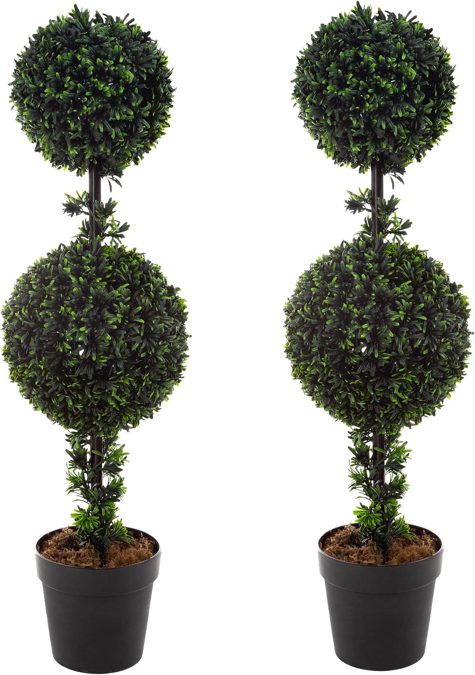 Amazon.com: Set of 2 Topiary Trees - 36-Inch Double Ball Podocarpus ...