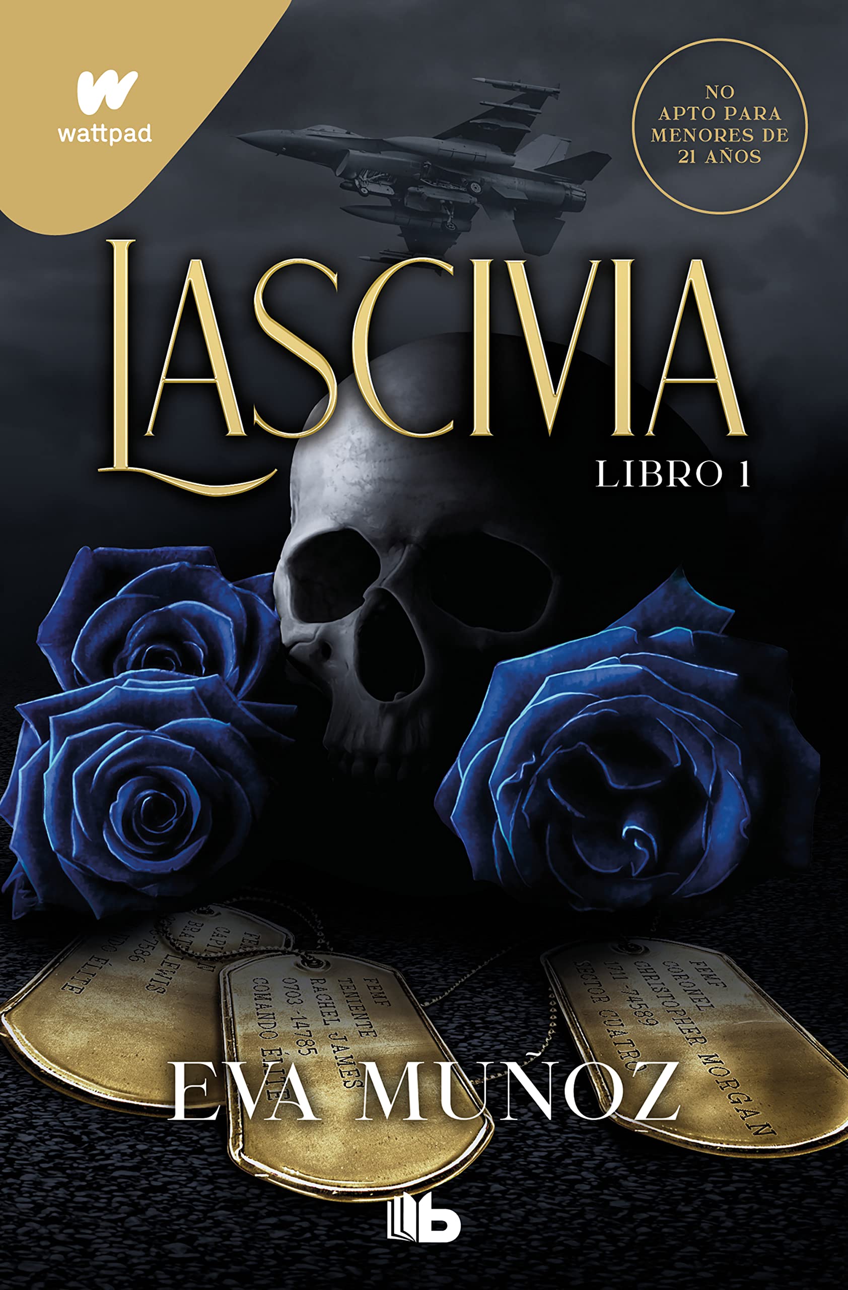 Amazon.com: Lascivia. Libro 1 (Pecados placenteros 1): 9788413147147 ...