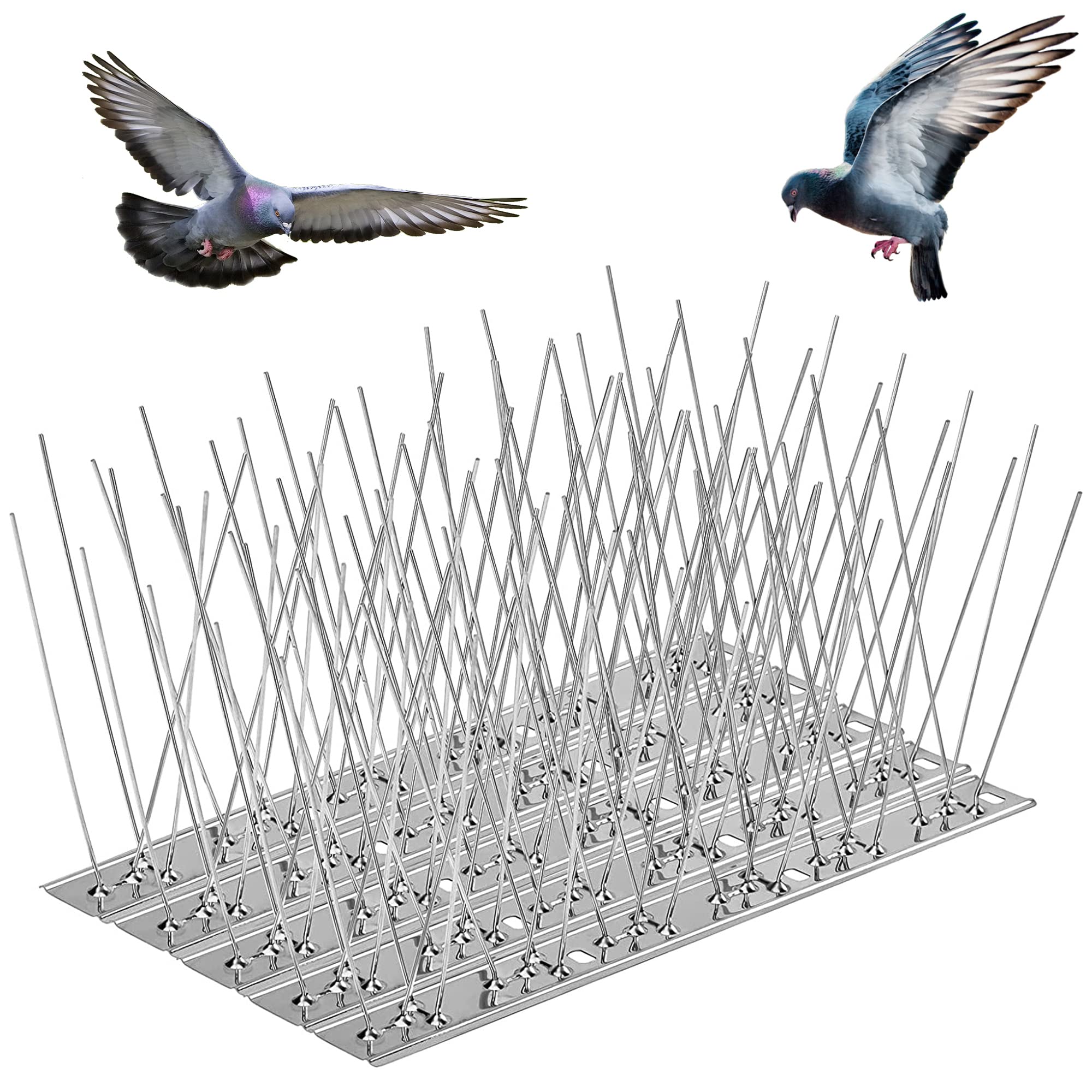 Pic Anti Pigeon Castoramanull
