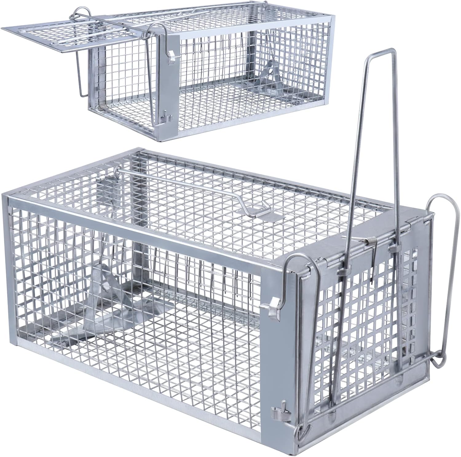 Amazon.com : Squirrel Trap,Humane Mouse Mice Trap Cage,Indoor Rat Trap ...