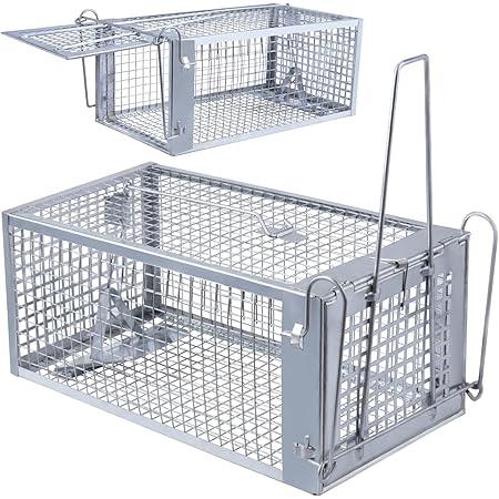 Amazon.com : Squirrel Trap,Humane Mouse Mice Trap Cage,Indoor Rat Trap ...