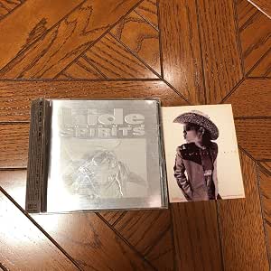 Amazon.co.jp: hide TRIBUTE SPIRITS hide sticker included : Toys & Games