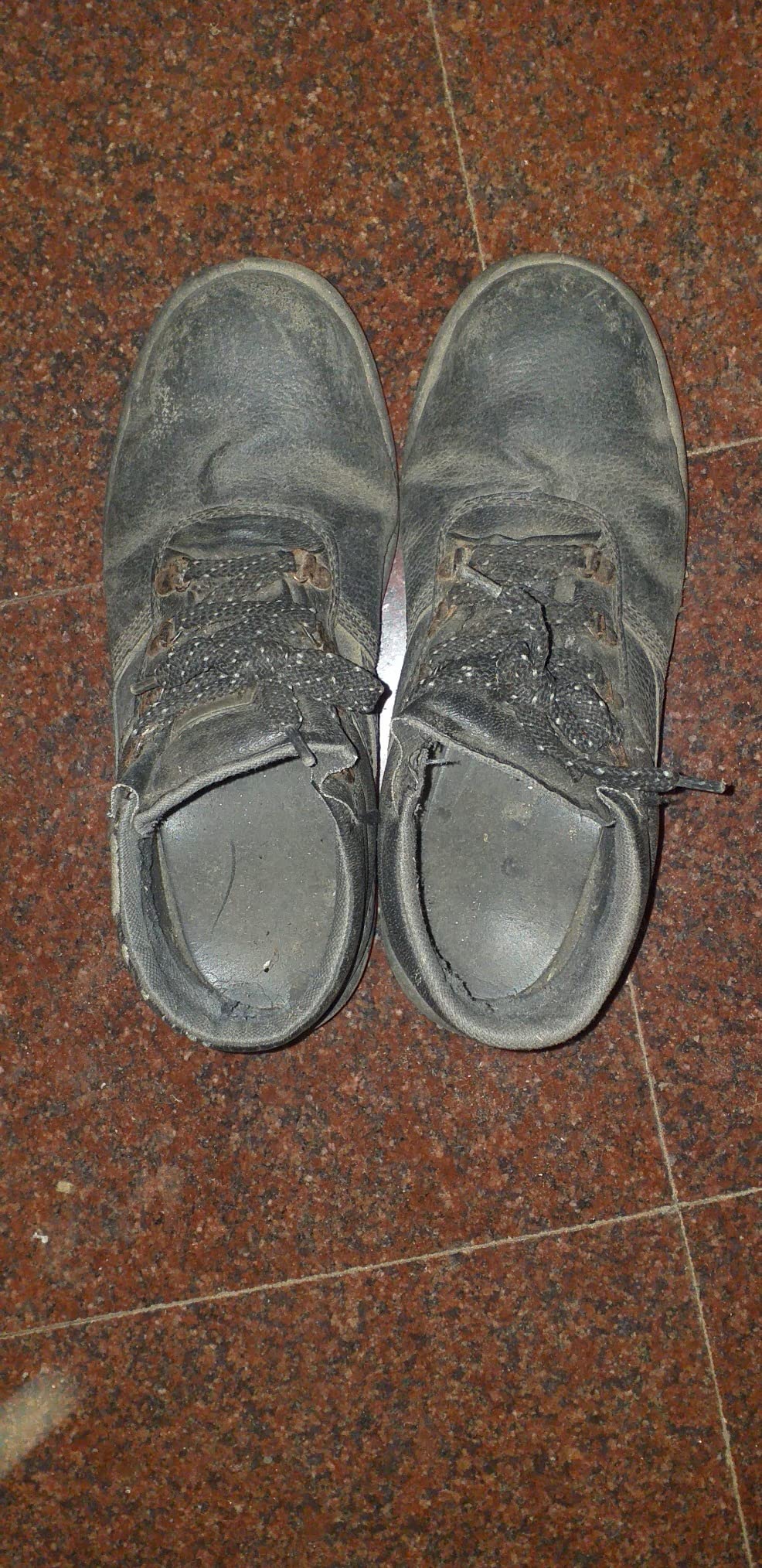 Neosafe A7015_10 Elite, Low Ankle Black Safety Shoes with Steel Toe ...