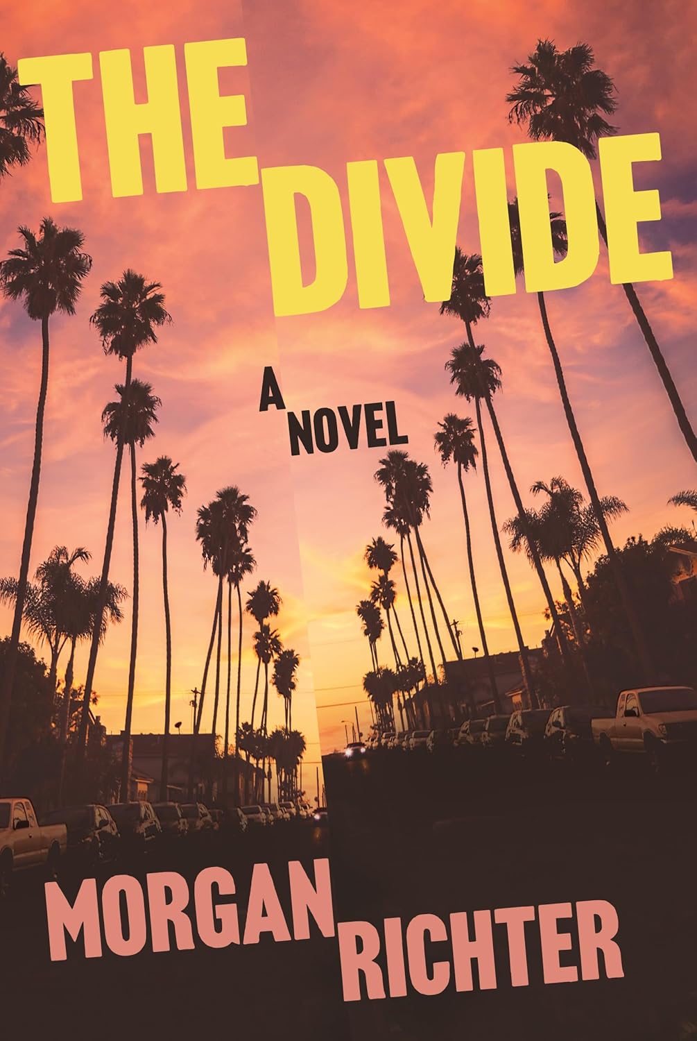 The Divide: A novel - Kindle edition by Richter, Morgan. Literature ...
