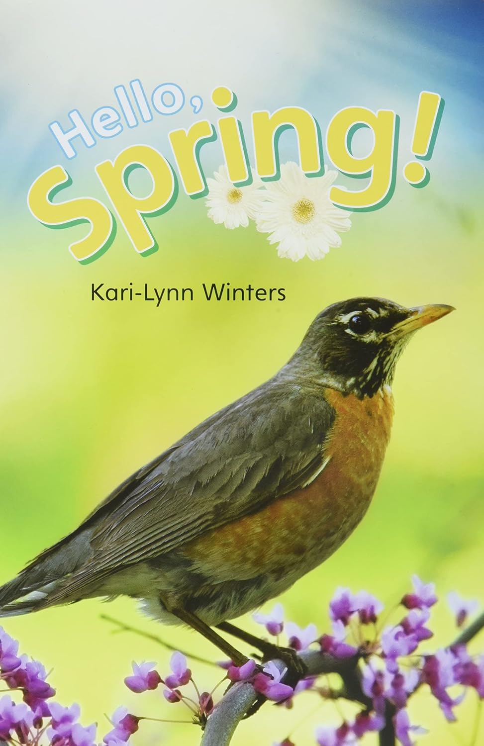 Amazon.com: MYVIEW LITERACY 2020 LEVELED READER GRADE 1: HELLO SPRING ...