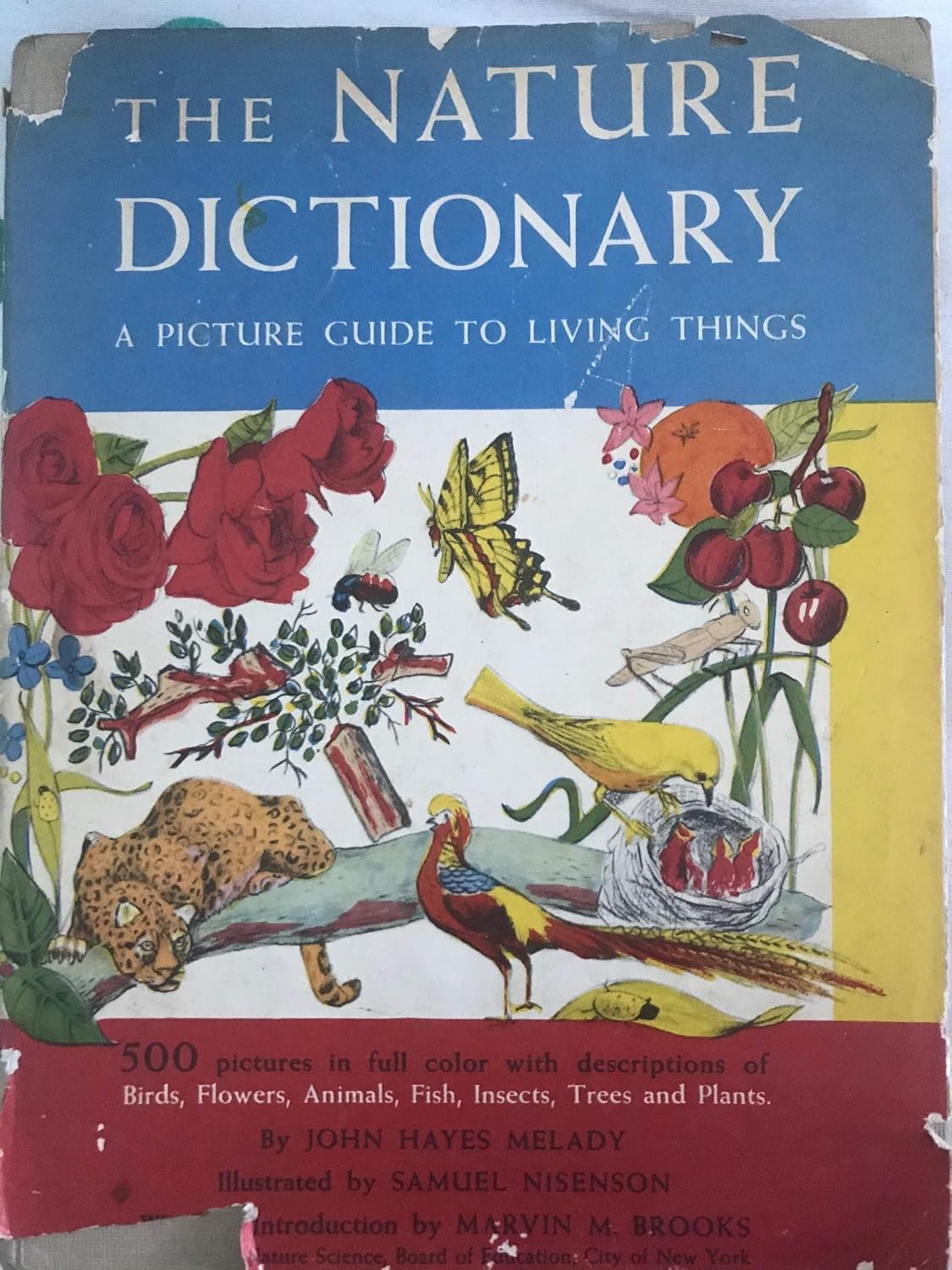 The Nature Dictionary: A Picture Guide to Living Things: Melady, John ...