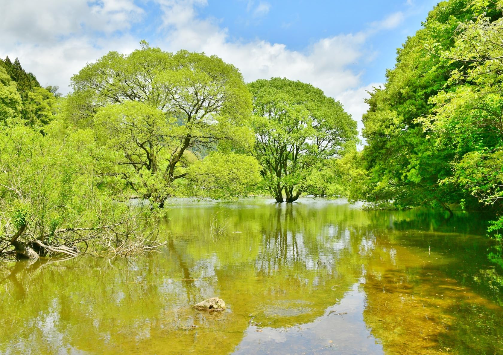 Amazon.co.jp: ecorica IC6CL80L リサイクルインクカートリッジ 6色パック×2箱 エコリカ ECI-E80L-6P : パソコン・周辺機器