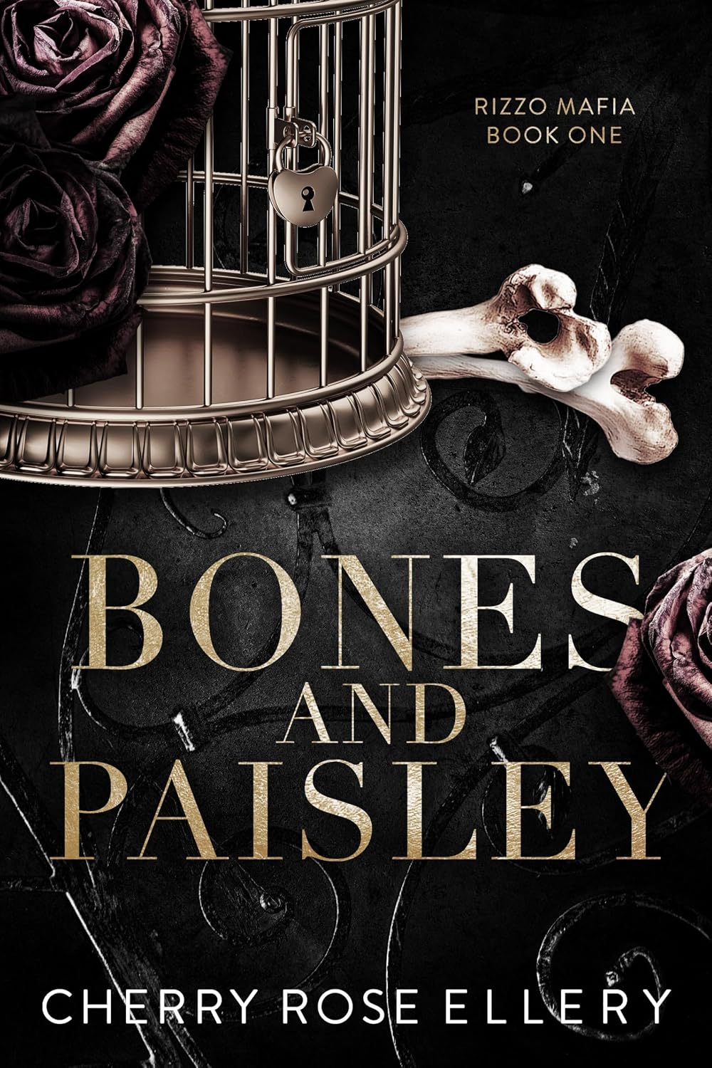 Amazon.com: Bones and Paisley: A Dark Romance (Rizzo Mafia Book 1 ...