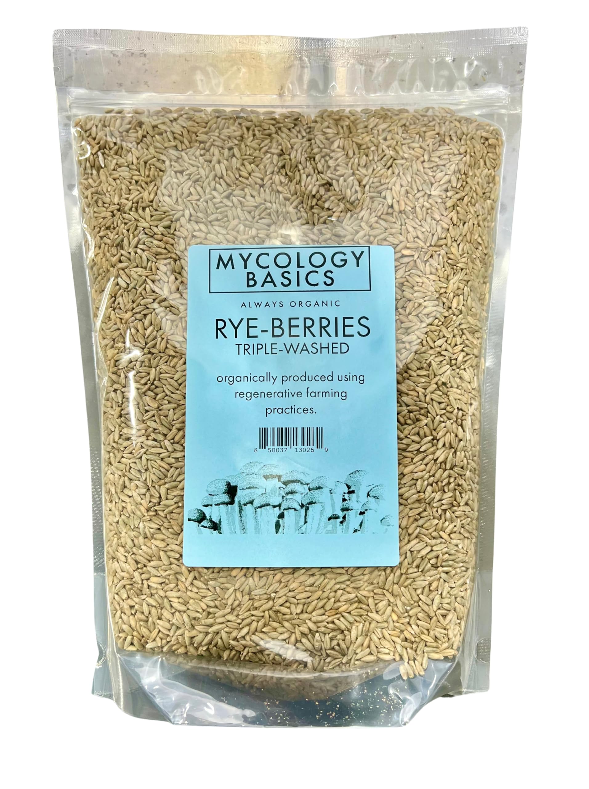 Amazon.com: Bulk Rye Berries - Certified 100% Organic - Extra Clean ...