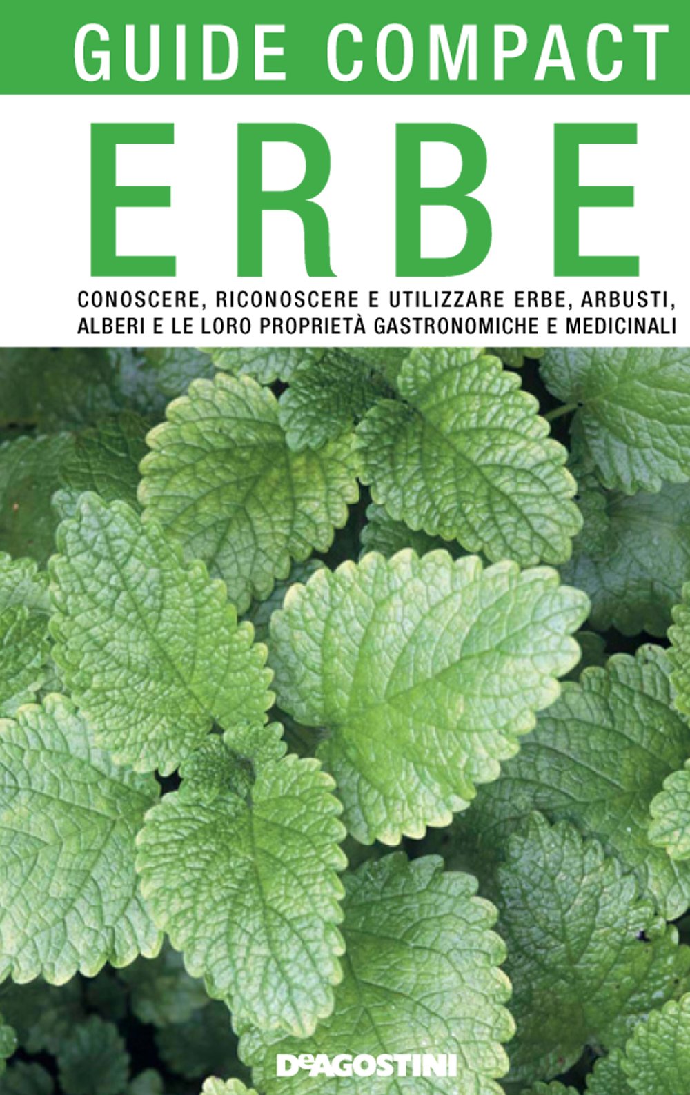 Buy Erbe: Conoscere, riconoscere e utilizzare erbe, arbusti, alberi e ...