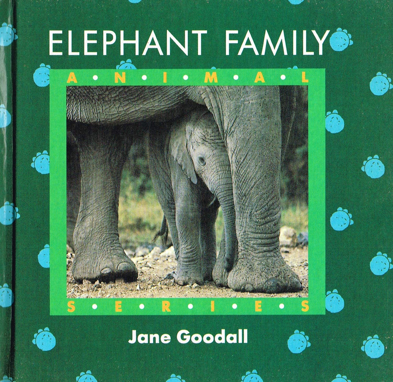 Jane Goodall Family Endangered Wombat Features In Jane Goodall's Emmy