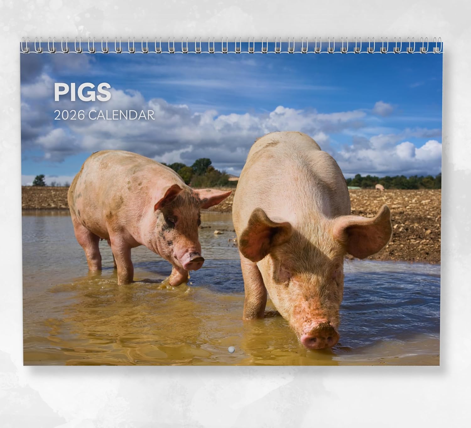 Pigs Calendar 2026: Monthly Wall Calendar with Notes, Hanging A4 Size ...