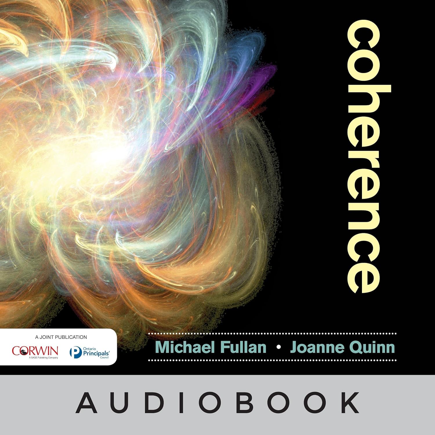 Amazon.com: Coherence: The Right Drivers in Action for Schools ...
