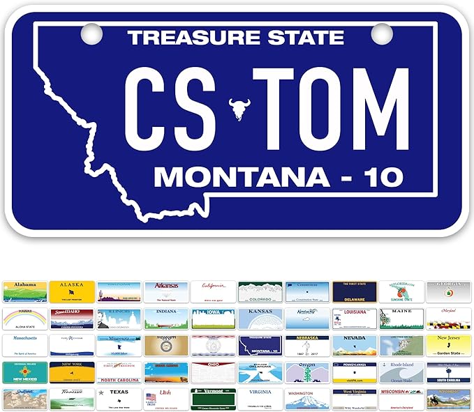Amazon.com: Mini License Plates, Personalized License Plates, Custom ...
