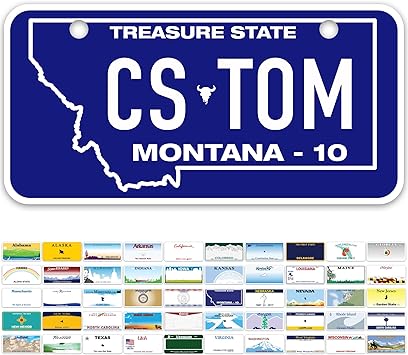 Amazon.com: Mini License Plates, Personalized License Plates, Custom ...