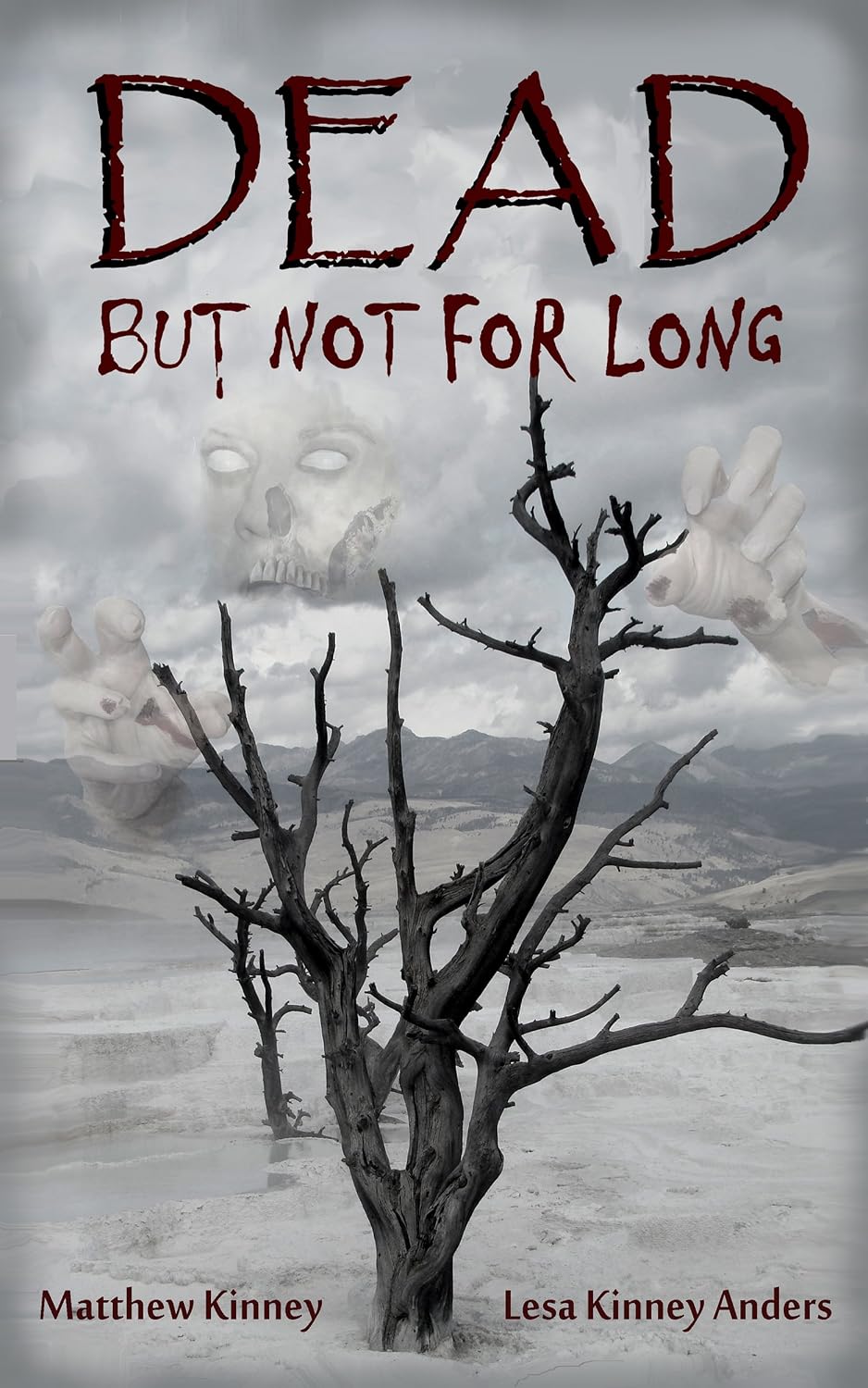 Amazon.com: Dead, but Not for Long eBook : Kinney, Matthew, Anders ...