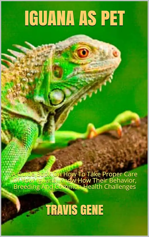 The Ultimate Guide To Spiny Tailed Iguana Care: A Beginner's Handbook ...