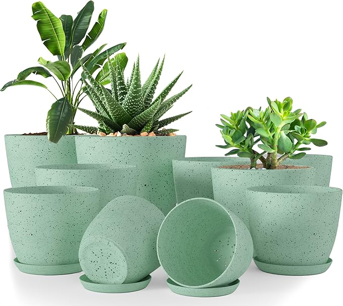 Amazon.com : Utopia Home - Spotty Plant Pots Indoor with Drainage - 7/6 ...