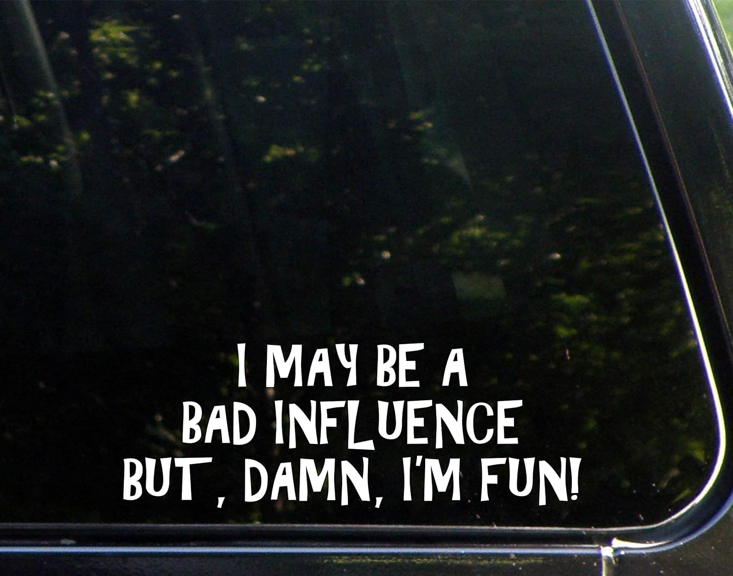 I May Be A Bad Influence But, Damn, I'm Fun! (8-3/4" x 3-1/4") Die Cut ...