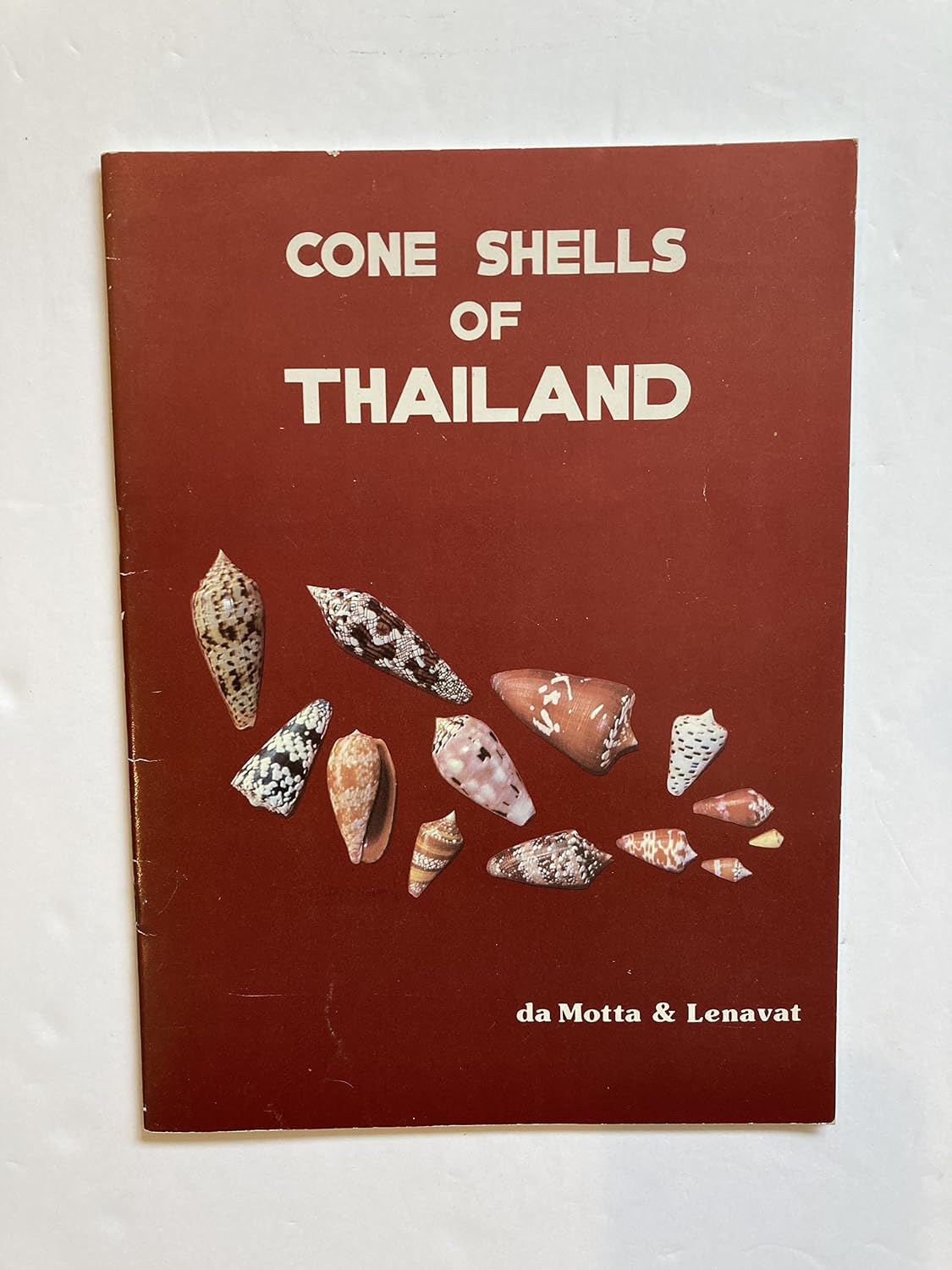 Cone Shells of Thailand: Motta and A. J. (Bob) Da Phairot Lenavat ...